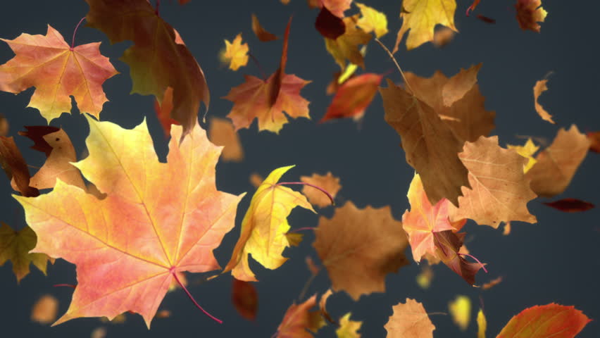 What Is Falling Leaf In Snowboarding Dhiefa Portail Des What Is Falling Leaf In Snowboarding Dhiefa Portail Des